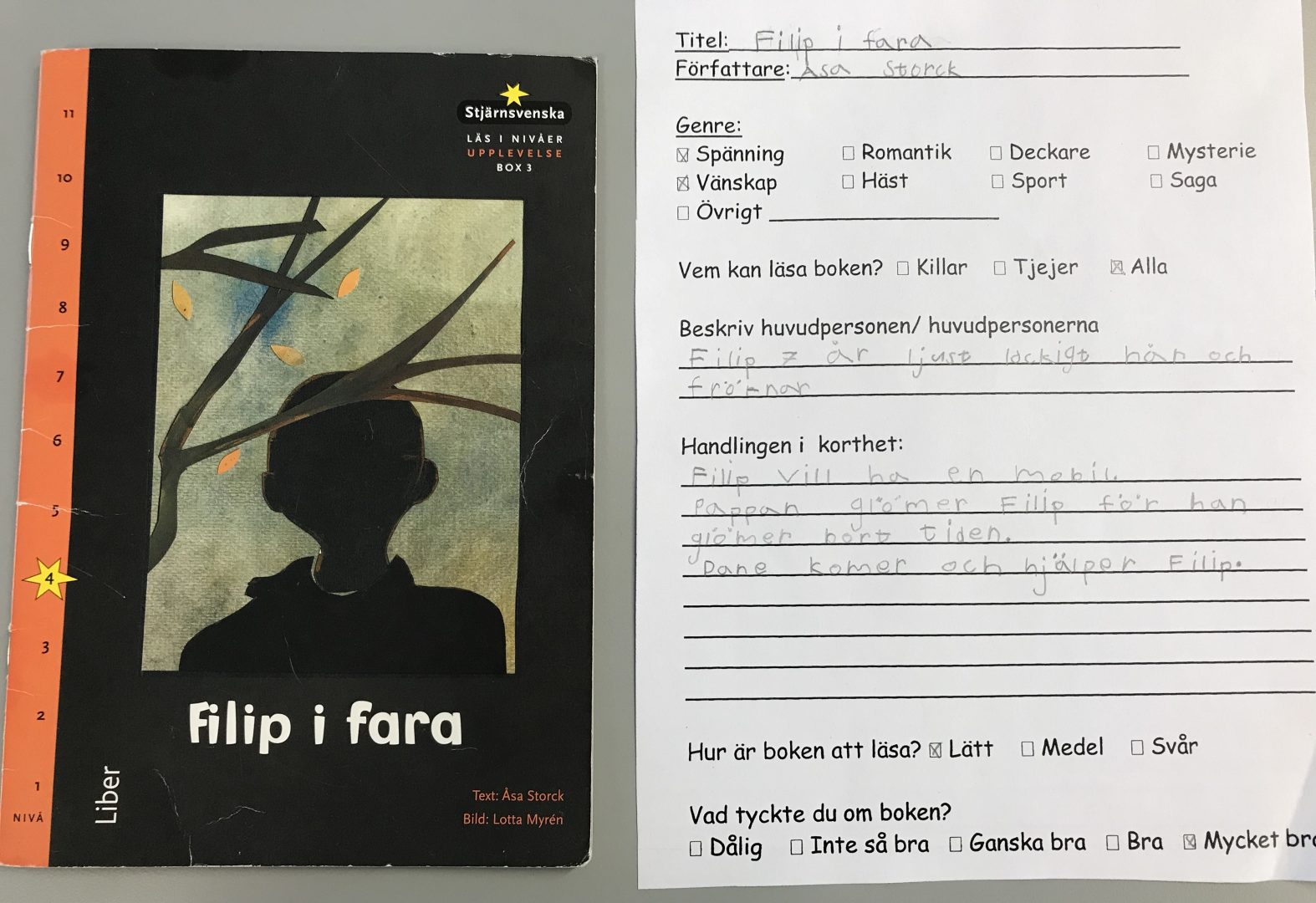 Bokrecension | Ramlösa Friskola
