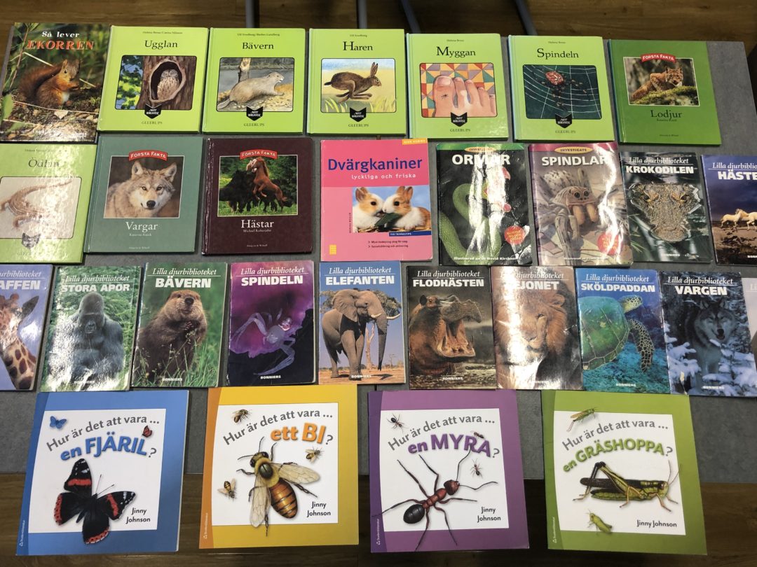Faktatext om ett djur | Ramlösa Friskola Faktatext om ett djur | Ramlösa Friskola