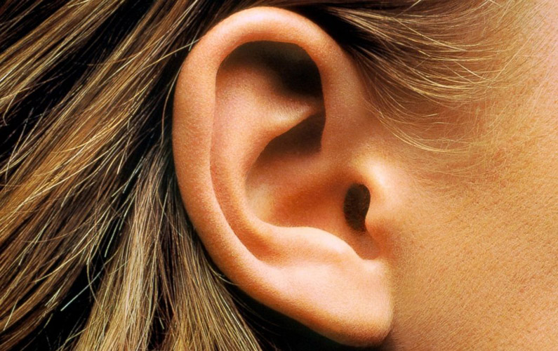 Örat/Hörseln v.14 | Ramlösa Friskola